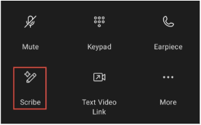 Guide to Using Scribe in Dialer Voice and Video Calls – Help Center